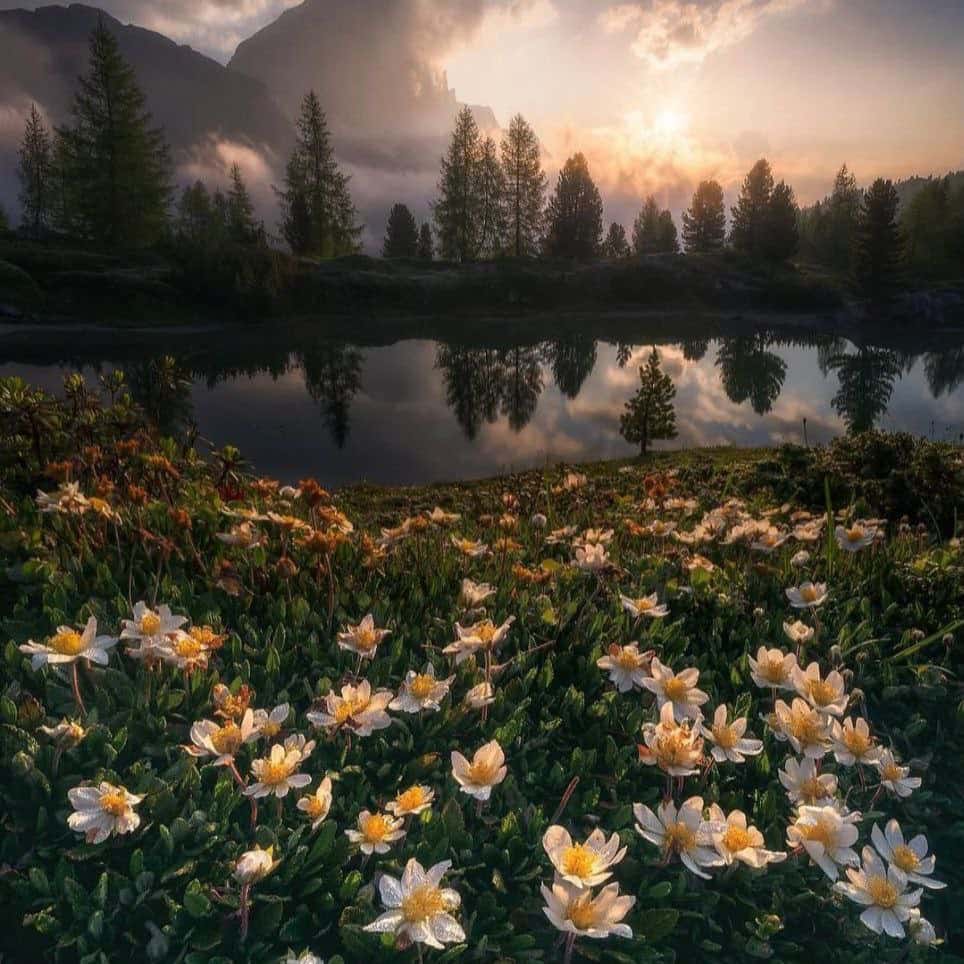 دانلود آرشیو آهنگ های Cain Walker MP3 (جدید و قدیمی) » موزیک ترین